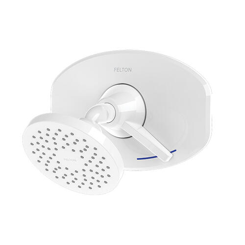 Felton Designer 4 Wallset - Rose, Handle and Faceplate