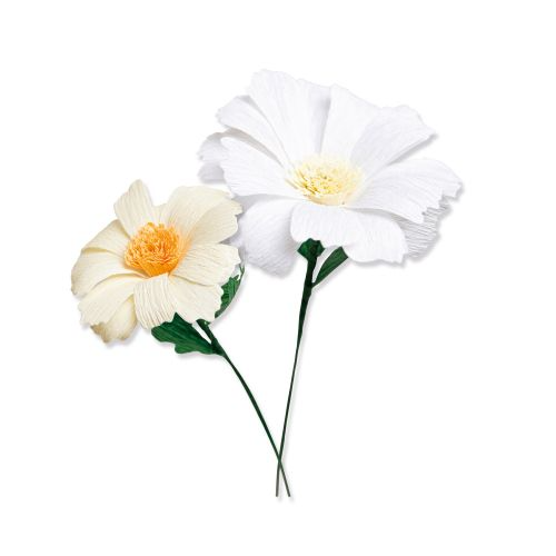 Sizzix Thinlits Die Set 8PK - Daisy Flower Mix | The Ribbon Rose