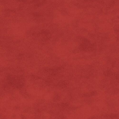 Maywood Shadow Play | Peaceful Sweet Watermelon | The Ribbon Rose