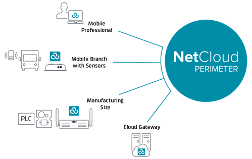 Netcloud Perimeter License For Client Devices, With Support, 5 Years ...